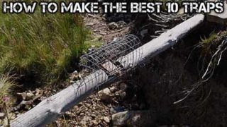 How To Make The Best 10 Traps - SHTFPreparedness