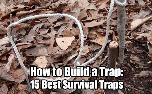 How to Build a Trap: 15 Best Survival Traps - SHTF & Prepping Central