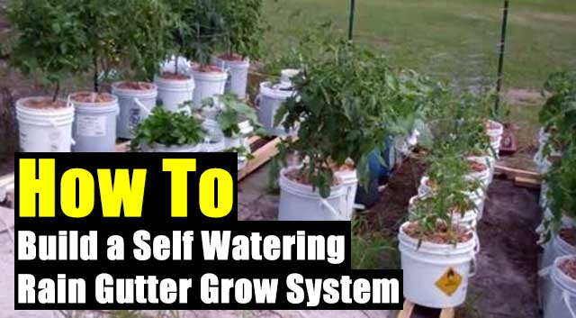 Hydroponic Self Watering Gutter Garden Indoors