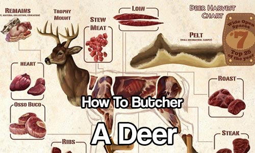 How To Butcher A Deer - SHTF Prepping & Homesteading Central
