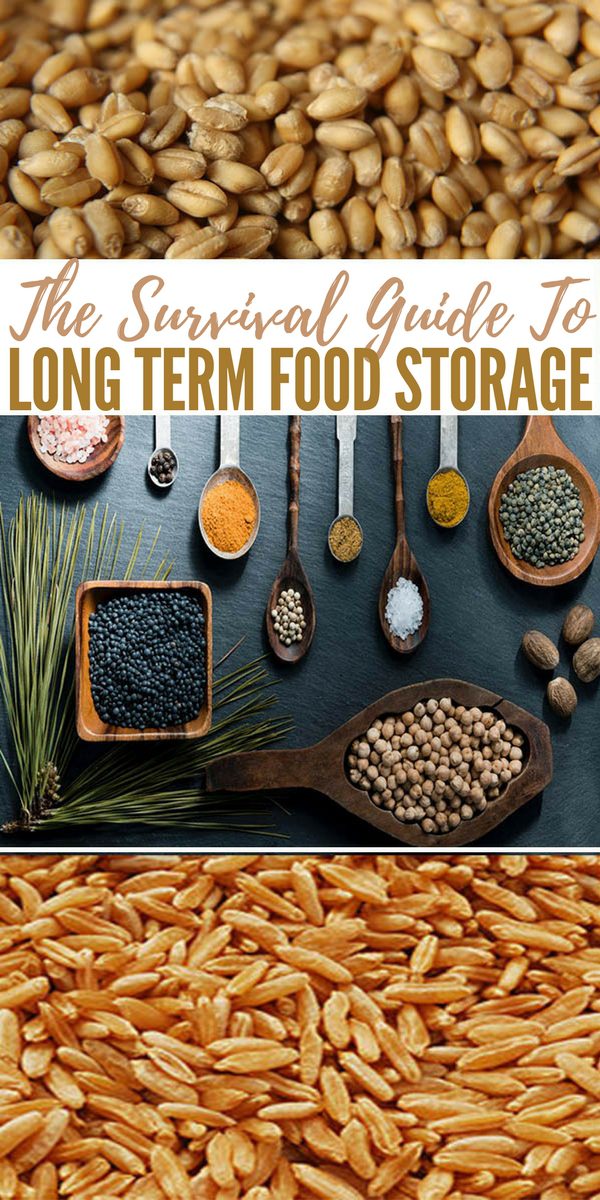 The Survival Guide To Long Term Food Storage The Survival Guide To Long Term Food Storage