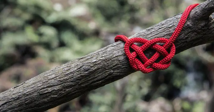 Different Types of Ropes and Their Survival Uses