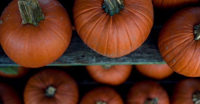 Food Storage: 20 Crops That Keep and How to Store Them