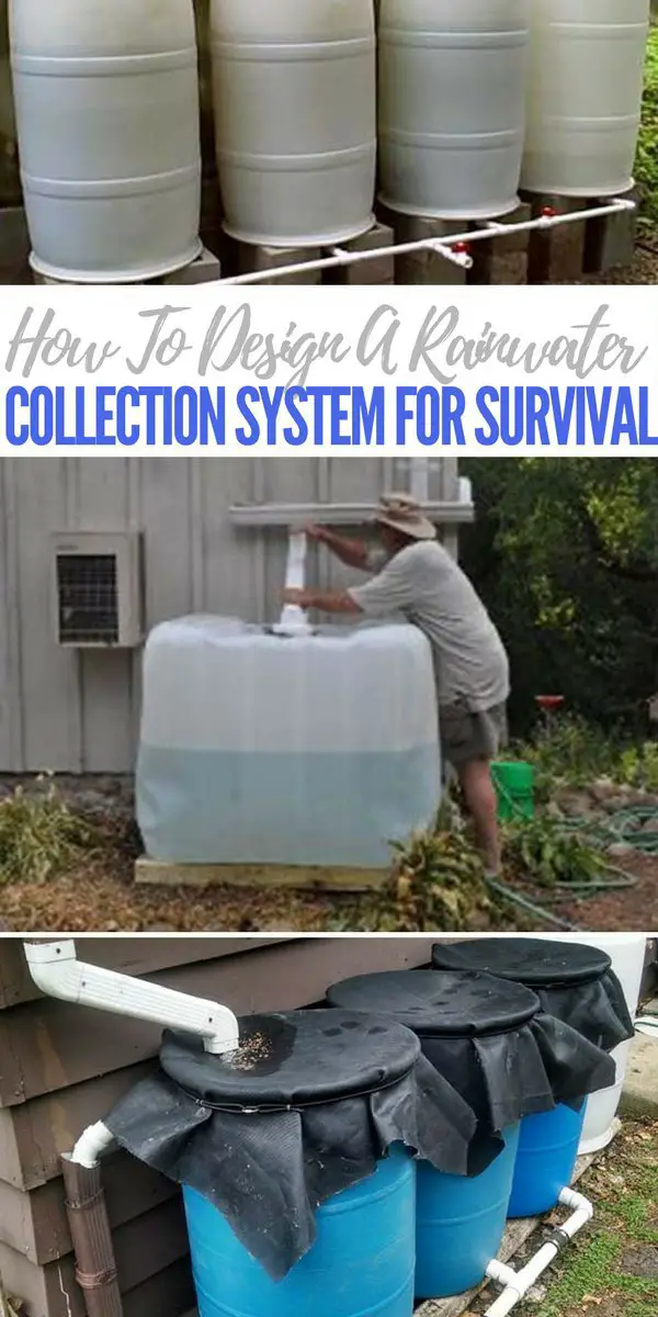 How To Design A Rainwater Collection System For Survival