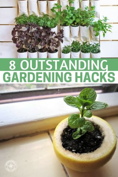 8 Outstanding Gardening Hacks That Can Double, Triple & Even Quadruple ... 8 Outstanding Gardening Hacks That Can Double, Triple & Even Quadruple ...