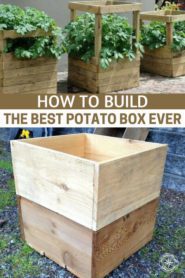 How To Build The Best Potato Box Ever - SHTFPreparedness