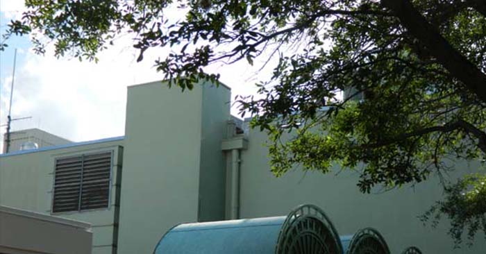 Go Away Green – Disney’s Camouflage Paint