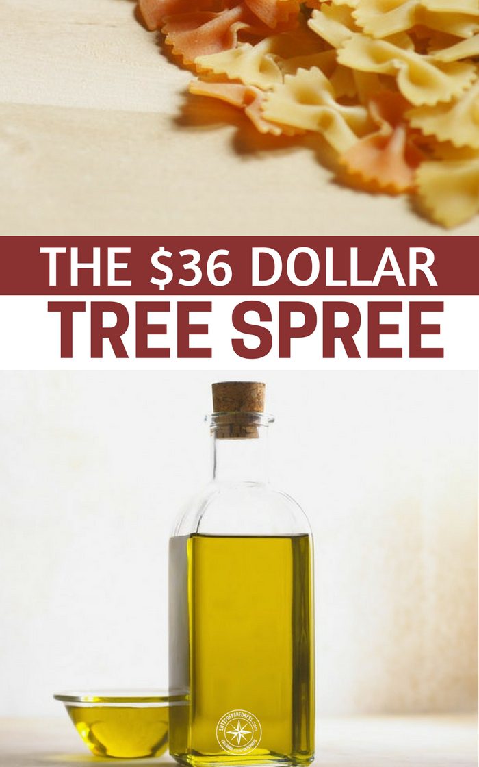What This Prepper Buys: The $36 Dollar Tree Spree