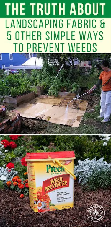 The Truth About Landscaping Fabric & Ways to Prevent Weeds The Truth About Landscaping Fabric & Ways to Prevent Weeds