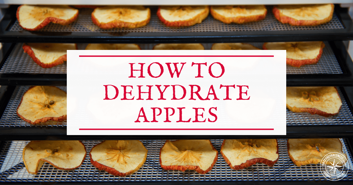 How to Dehydrate Apples (+ Our Cinnamon Apple Chips Recipe!)