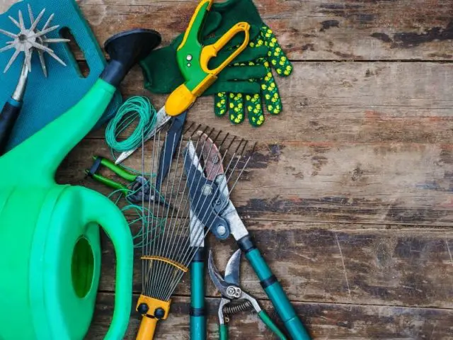 How to Clean Garden Tools Properly to Avoid Rust