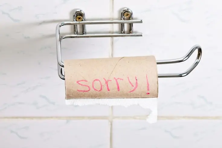 How to Make DIY Toilet Paper: A Step-by-Step Guide