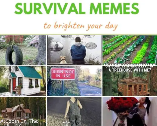 Survival Memes To Brighten Your Day