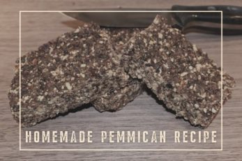 How to Make Pemmican Recipe: Easy, Homemade, Survival DIY Snack