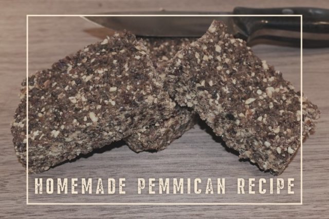 How to Make Pemmican Recipe: Easy, Homemade, Survival DIY Snack