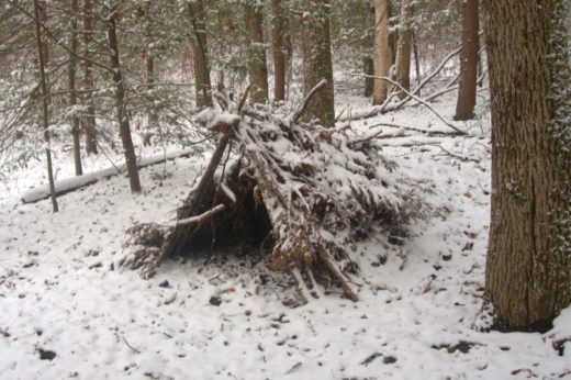 Winter Survival Shelter: How to Choose the Right One