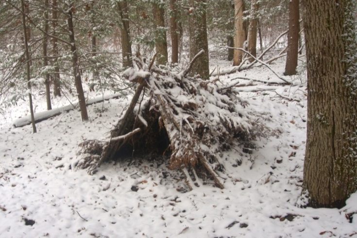 Winter Survival Shelter: How to Choose the Right One