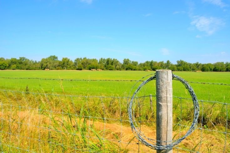 10 Best States for Homesteading: Transform Your Life