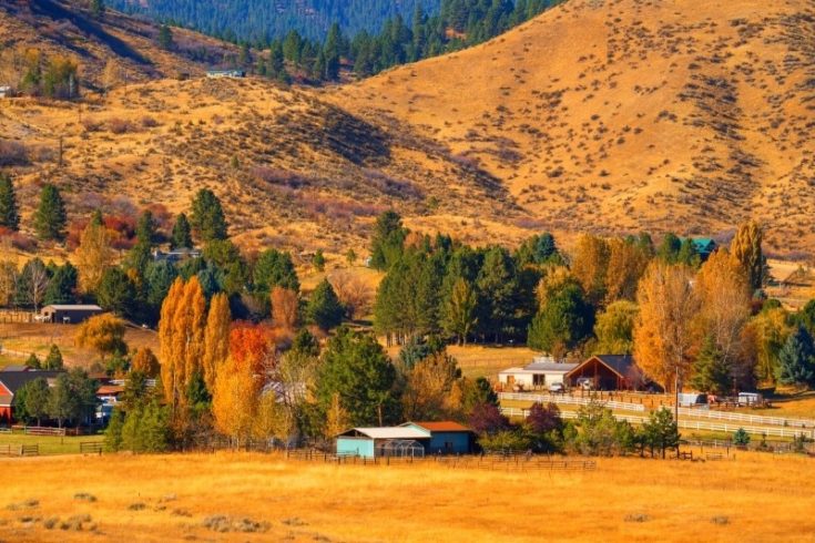 10 Best States for Homesteading: Transform Your Life