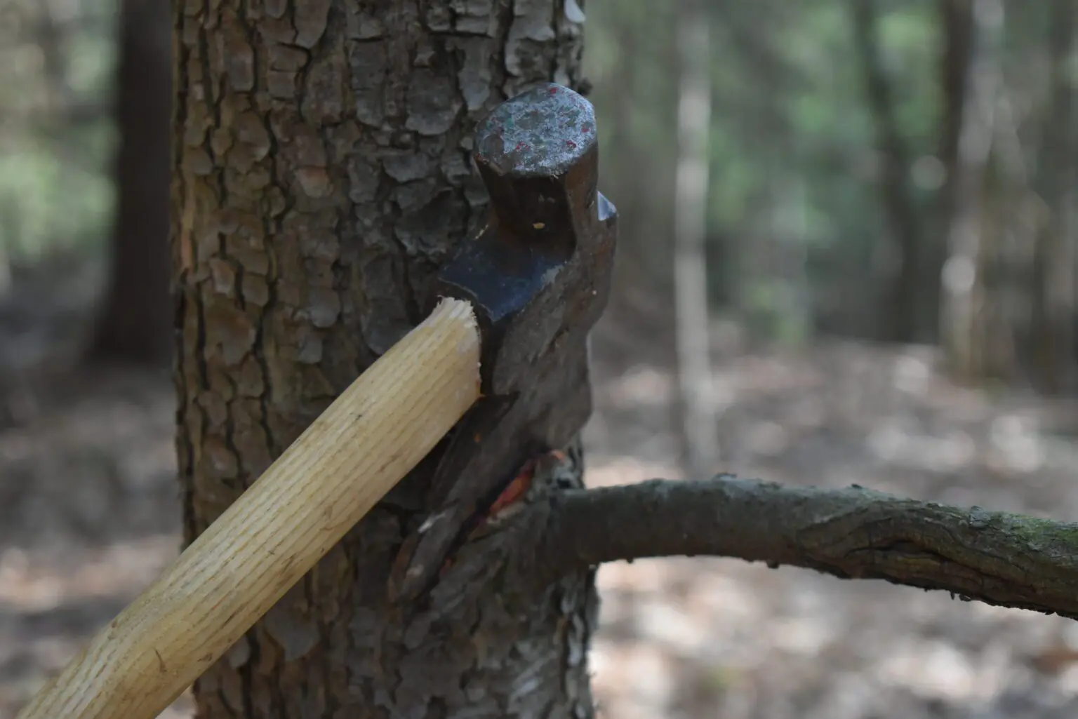 Best Axes and Hatchets: Top Three On The Market