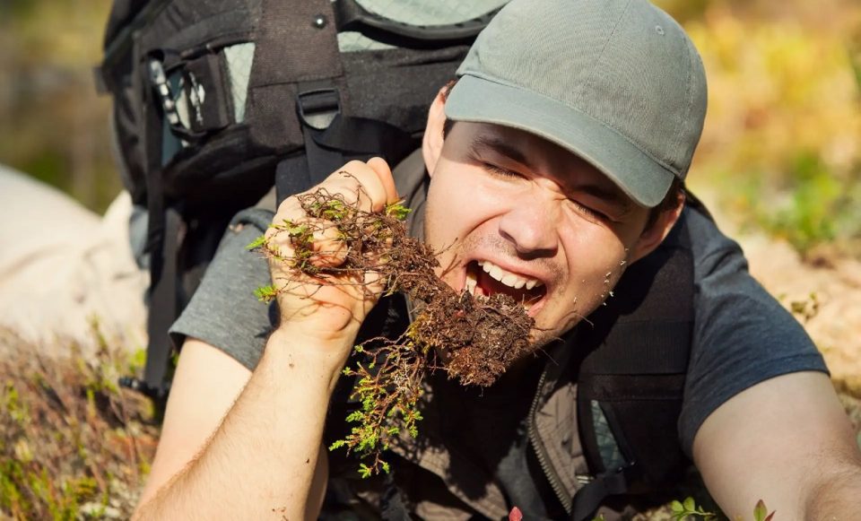 Can Humans Eat Grass? Here's What You Need to Know