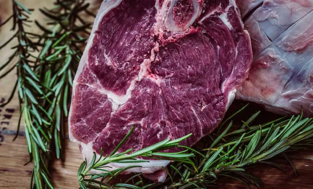 Can You Eat Bear Meat Without Risks? Taste of the Wilderness