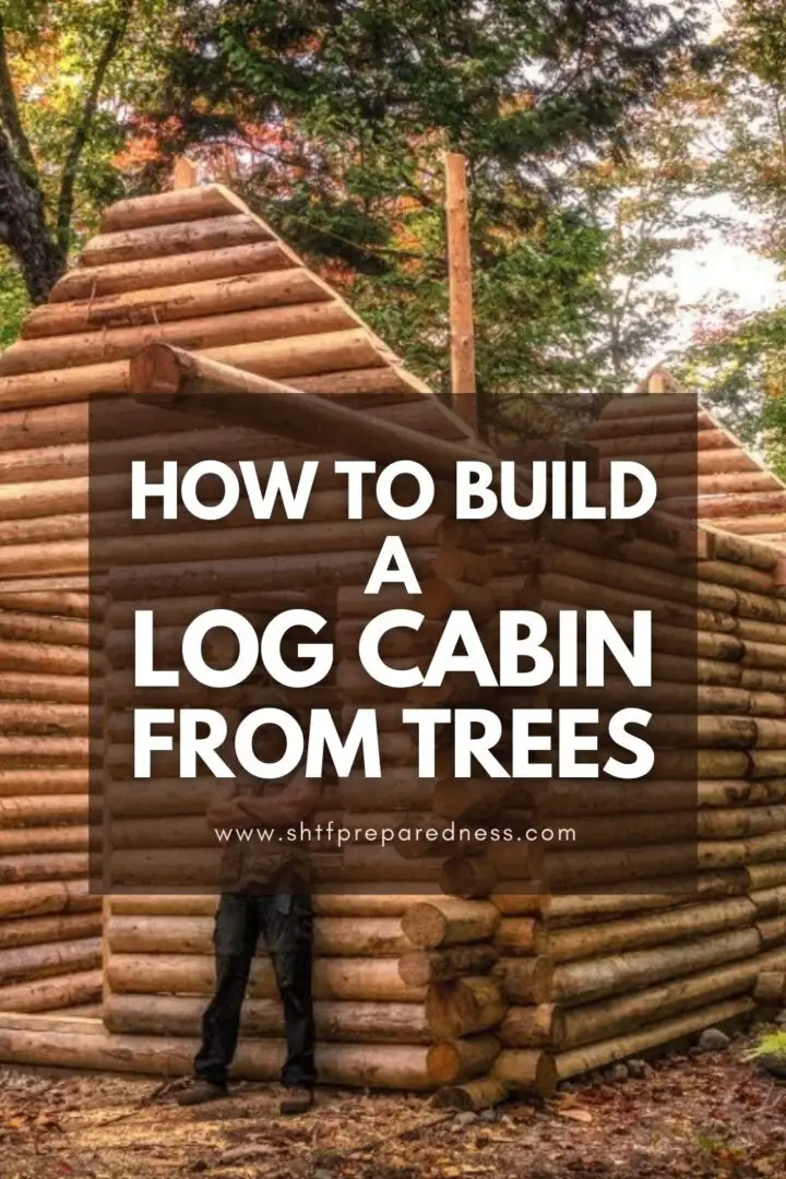 How to Build a Log Cabin from Trees