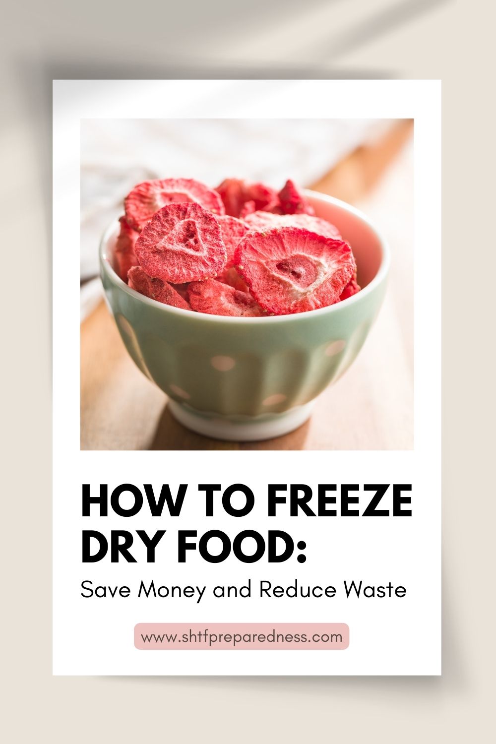 How to Freeze Dry Food: Save Money and Reduce Waste