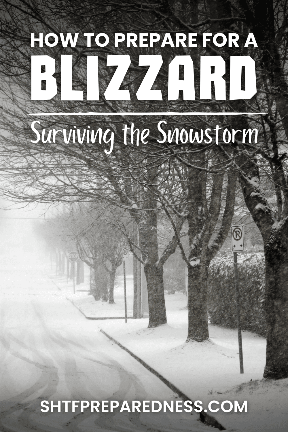 How to Prepare for a Blizzard: Surviving the Snowstorm