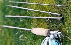 Parts of a Fishing Rod Every Angler Should Know